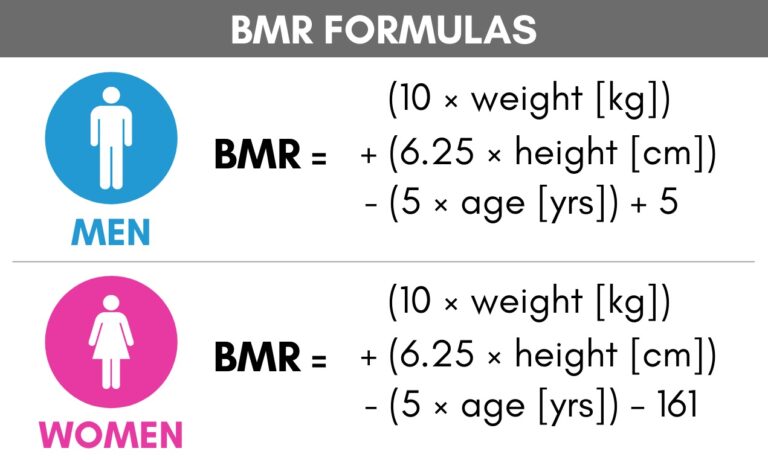 Harris-Benedict Calculator: Calculate Your Daily Calorie Needs